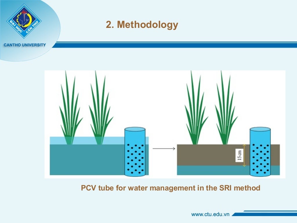 1449 - Azolla Rice Duck Fish Farming Systems with SRI Methods in the