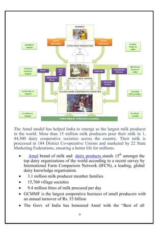 Amul_FinalReport_PDF | PDF