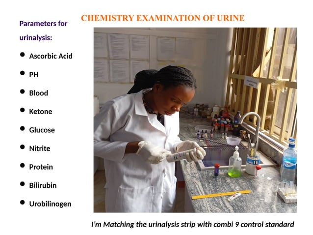 14502 Josephine I.T REPORT-1(1).pptx power | PPT