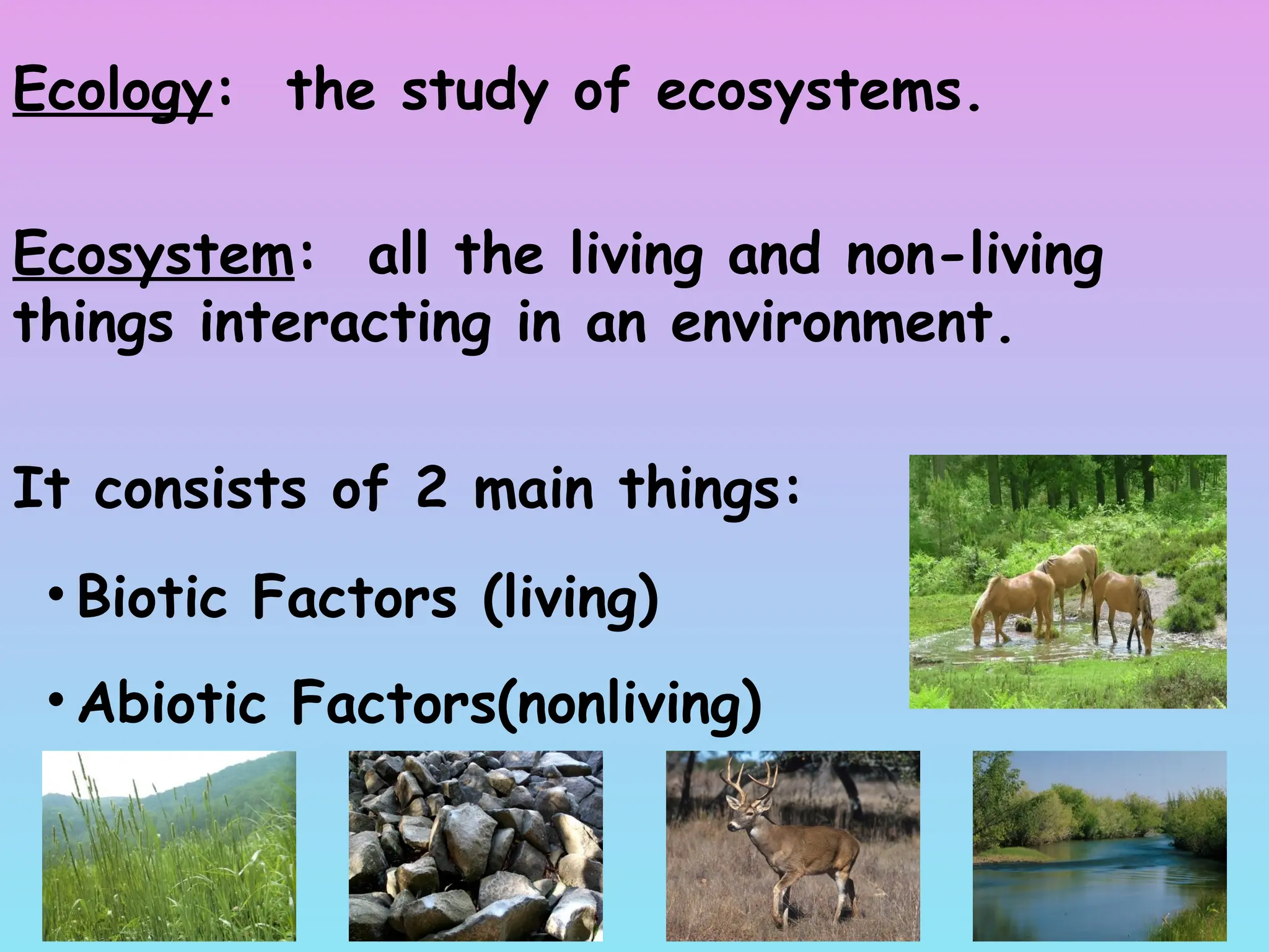 An Introduction To Ecosystems fsdnnn.ppt