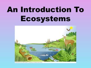 An Introduction To Ecosystems fsdnnn.ppt