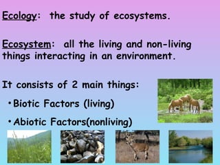 An Introduction To Ecosystems fsdnnn.ppt