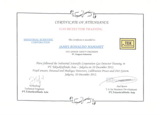 James R Mamahit Certification | PDF