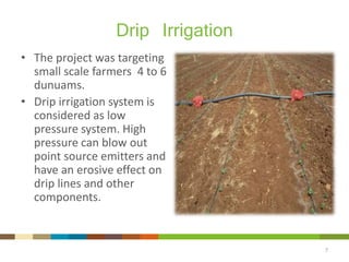 Drip irrigation Sysyem | PPTX | Agriculture | Industries