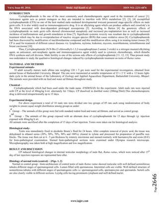 EFFECT OF CYCLOPHOSPHAMIDE(anticancer drug) ON TESTIS | PDF
