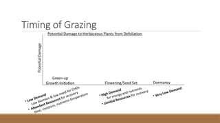 Grazing methods and Plans. Rangeland Management | PPT | Agriculture ...