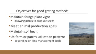 Grazing methods and Plans. Rangeland Management | PPT | Agriculture ...