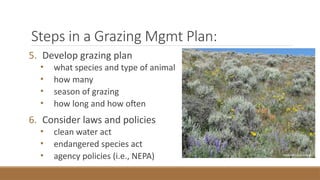 Grazing methods and Plans. Rangeland Management | PPT | Agriculture ...