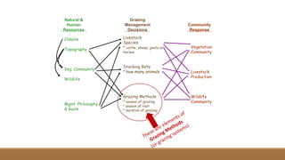 Grazing methods and Plans. Rangeland Management | PPT | Agriculture ...