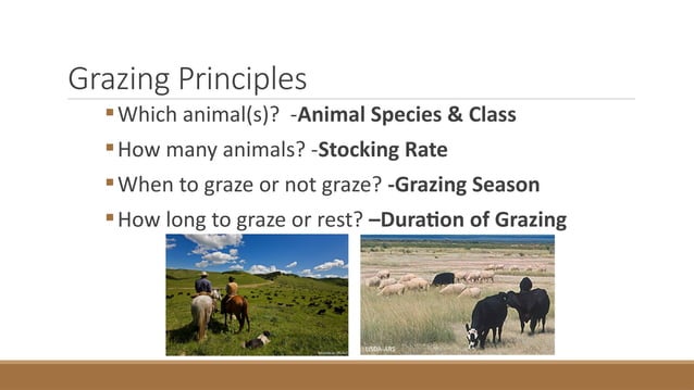 Grazing methods and Plans. Rangeland Management | PPT