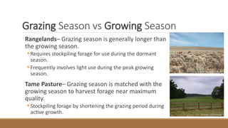 Grazing methods and Plans. Rangeland Management | PPT | Agriculture ...