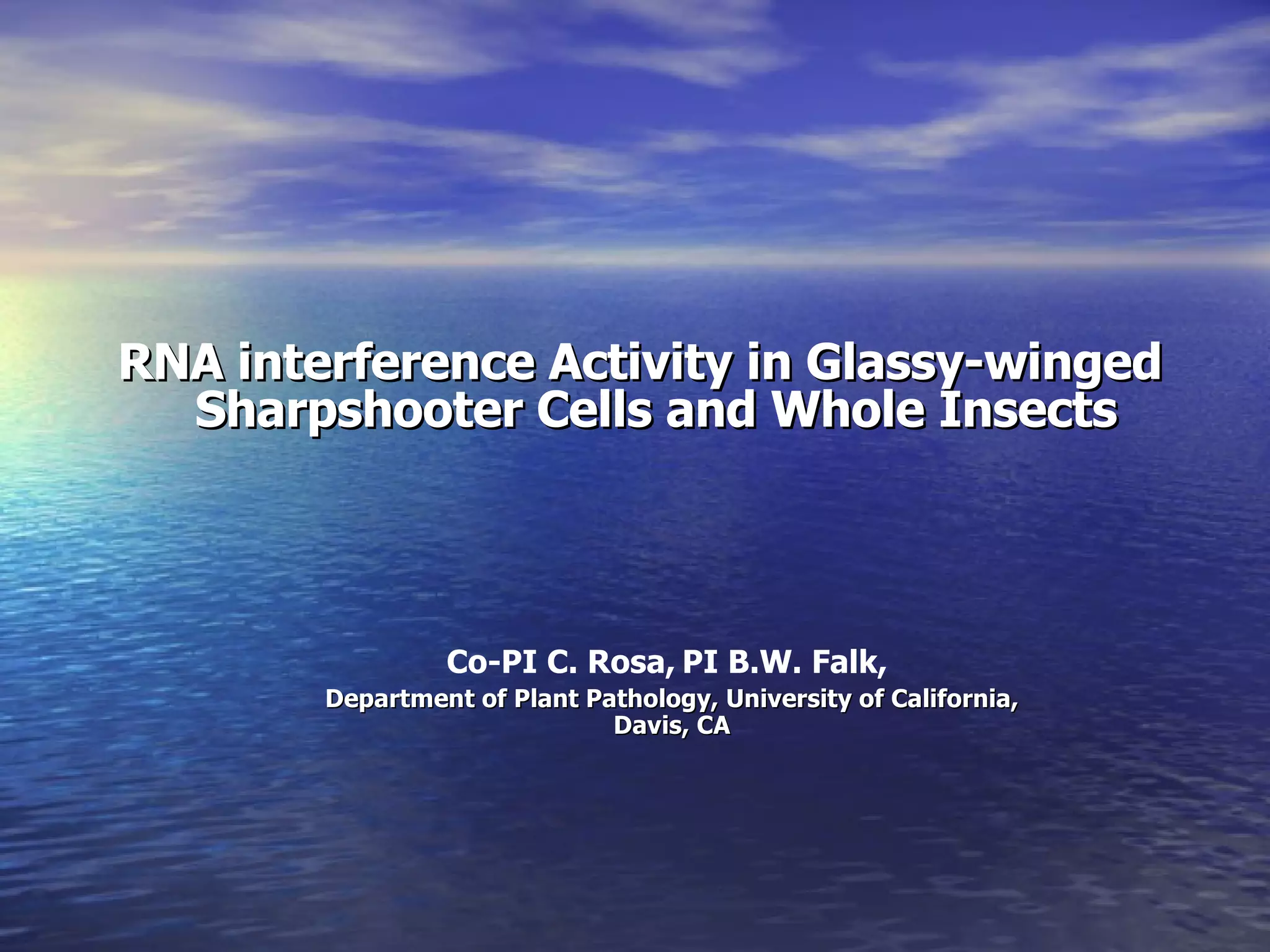 RNA interference Activity in Glassy-winged Sharpshooter Cells and Whole ...