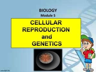 145637964-Grade-8-Module-5.ppt
