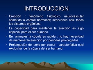 Ereccion-Peneana exposicion pregrado para urologia | PPT