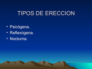 Ereccion-Peneana exposicion pregrado para urologia | PPT