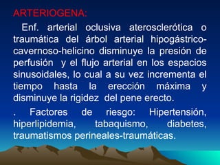 Ereccion-Peneana exposicion pregrado para urologia | PPT