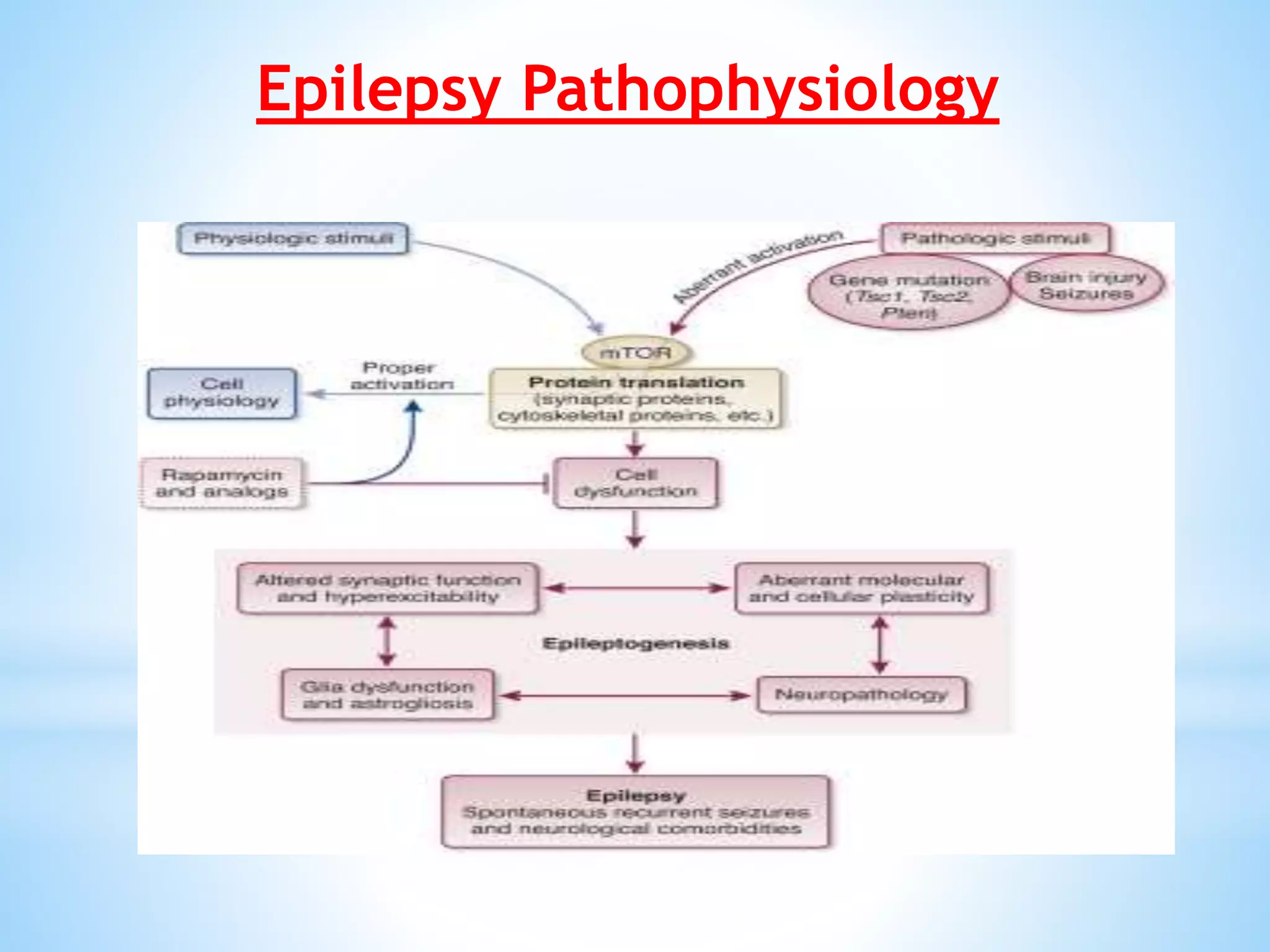 Epilepsy-Epidemiology,Signs and symptoms,Triggers,Seizures types,Causes ,Diagnosis,anti ...