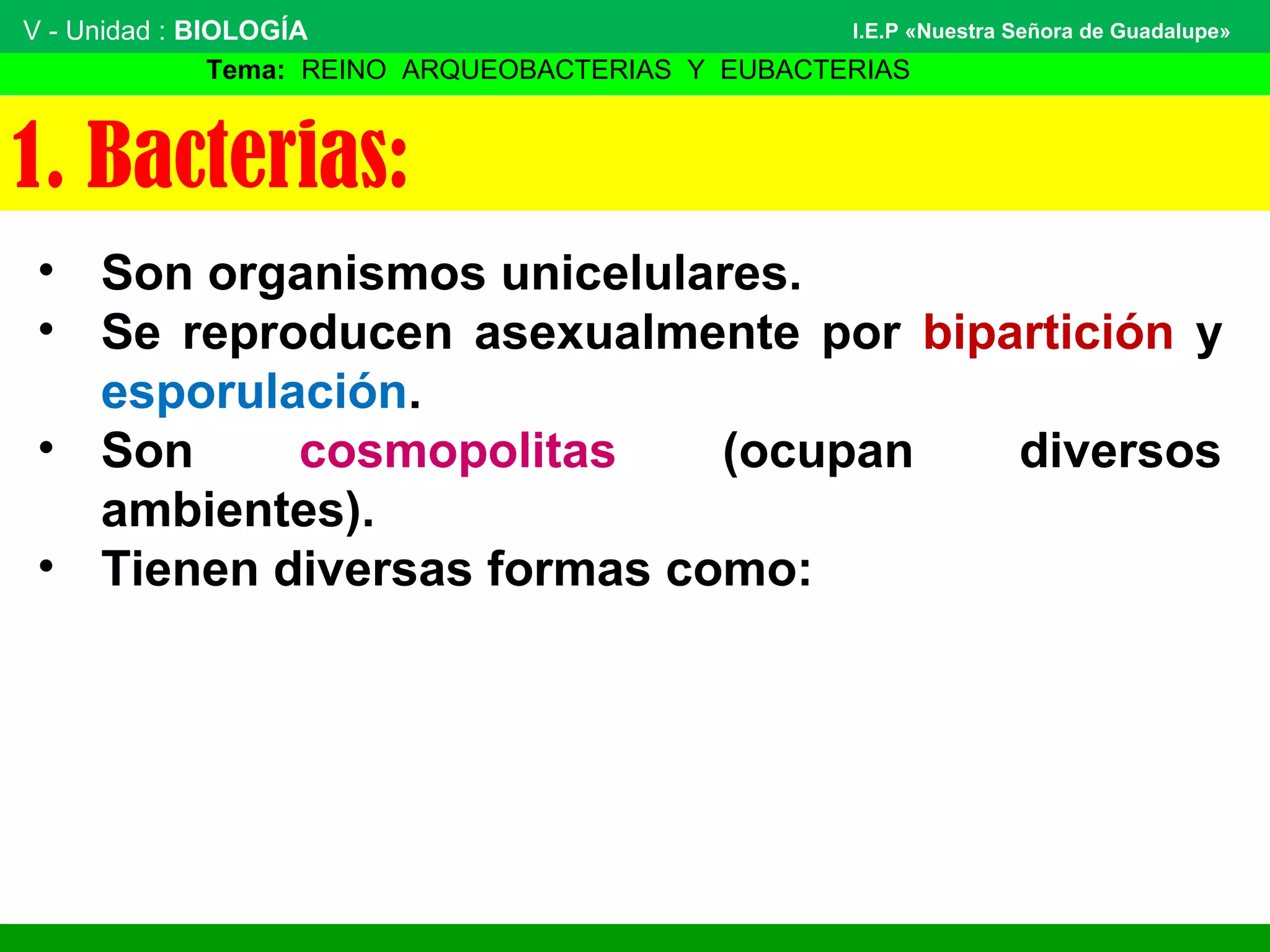 145 reino eubacteria | PPT