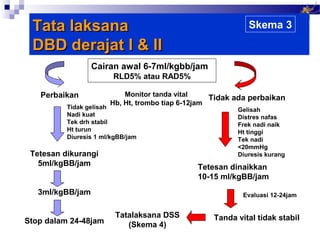 146470448 demam-berdarah-dengue | PPT