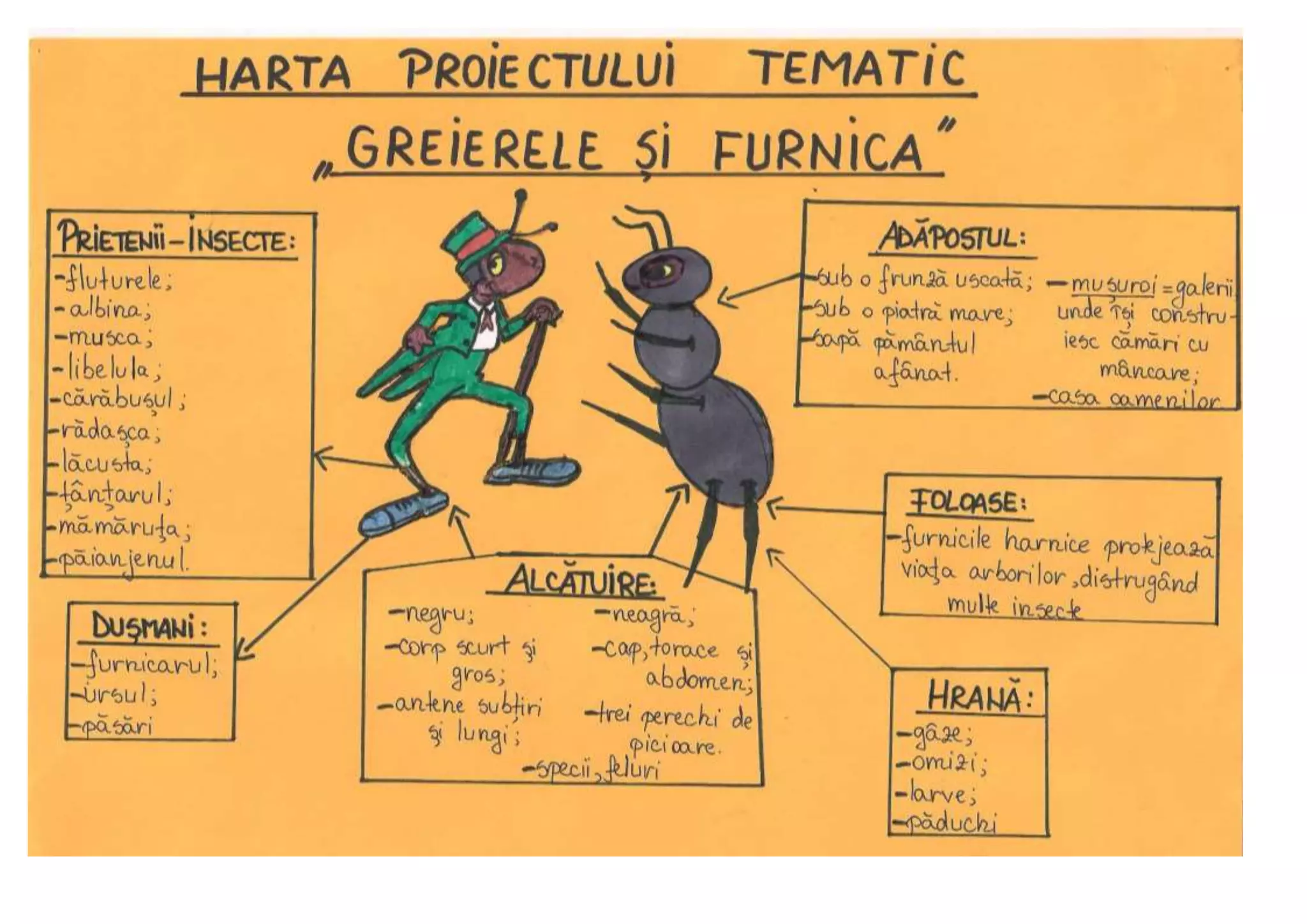 146555805 harti-pentru-proiecte-tematice-cu-tema-insecte | DOC