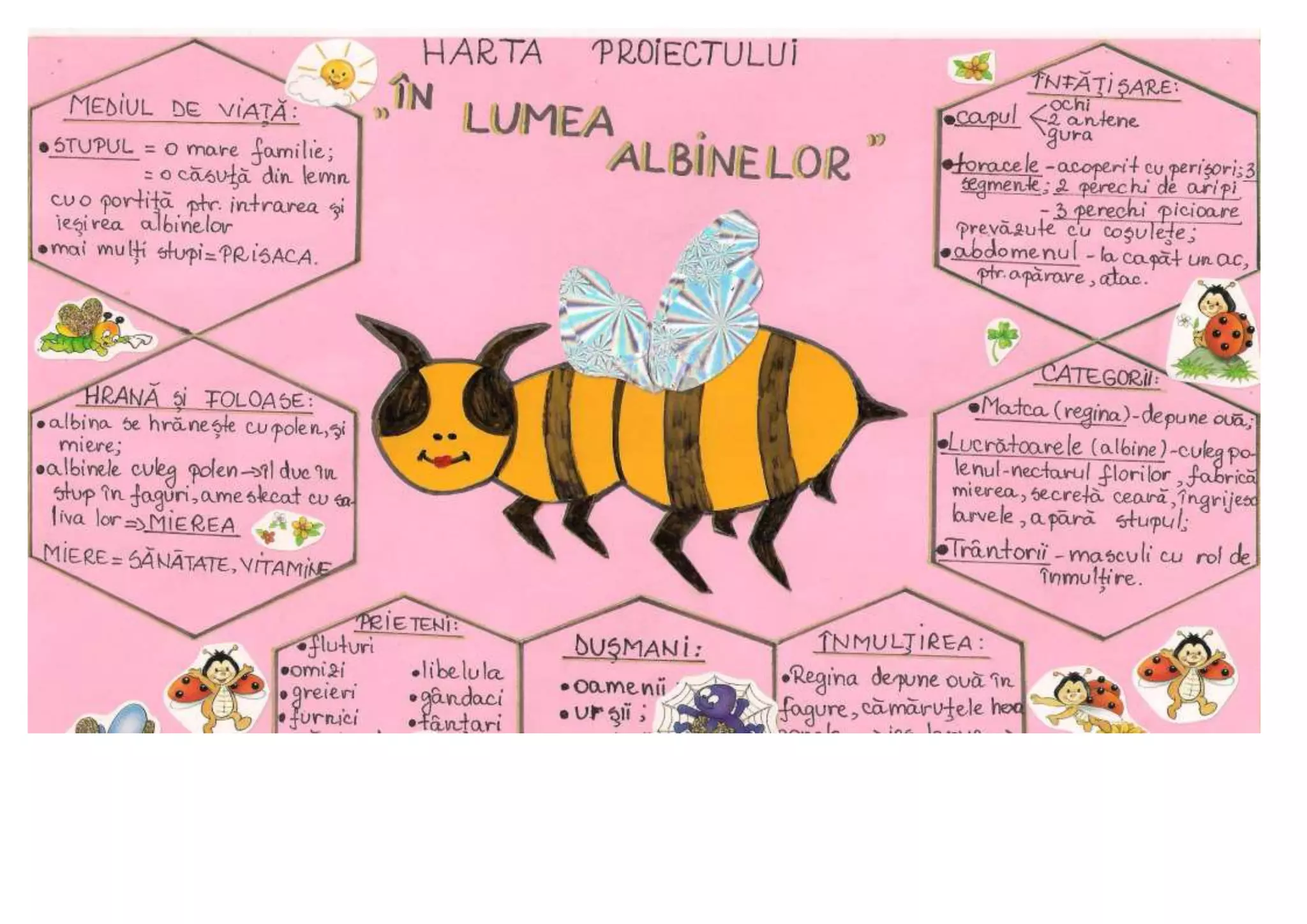 146555805 harti-pentru-proiecte-tematice-cu-tema-insecte | DOC