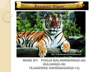 146694067-Tiger-Project-ppt.pdf73737ejie | PDF
