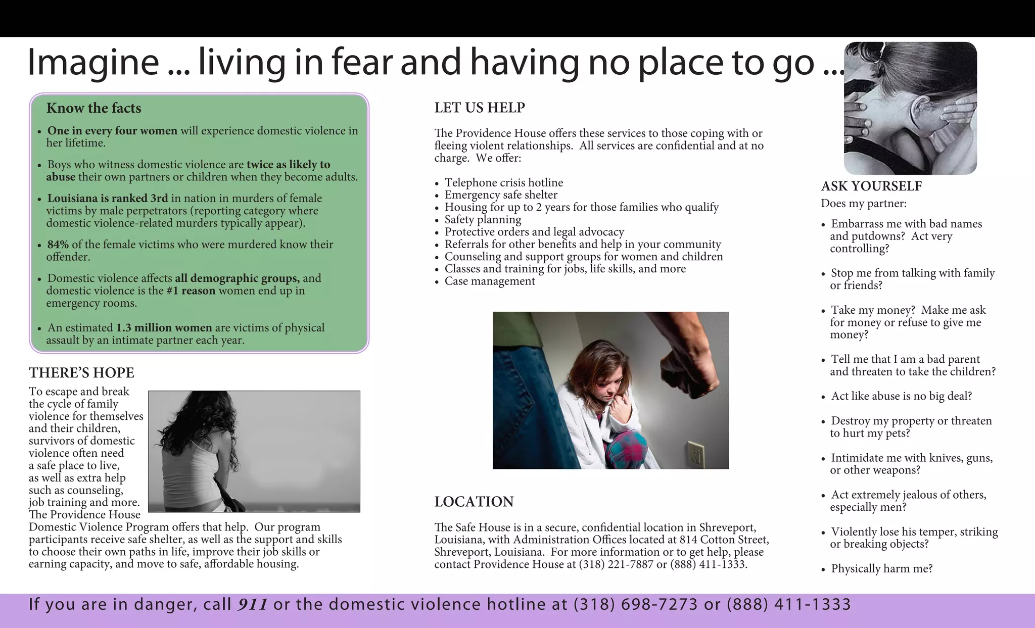 DV Brochure | PDF