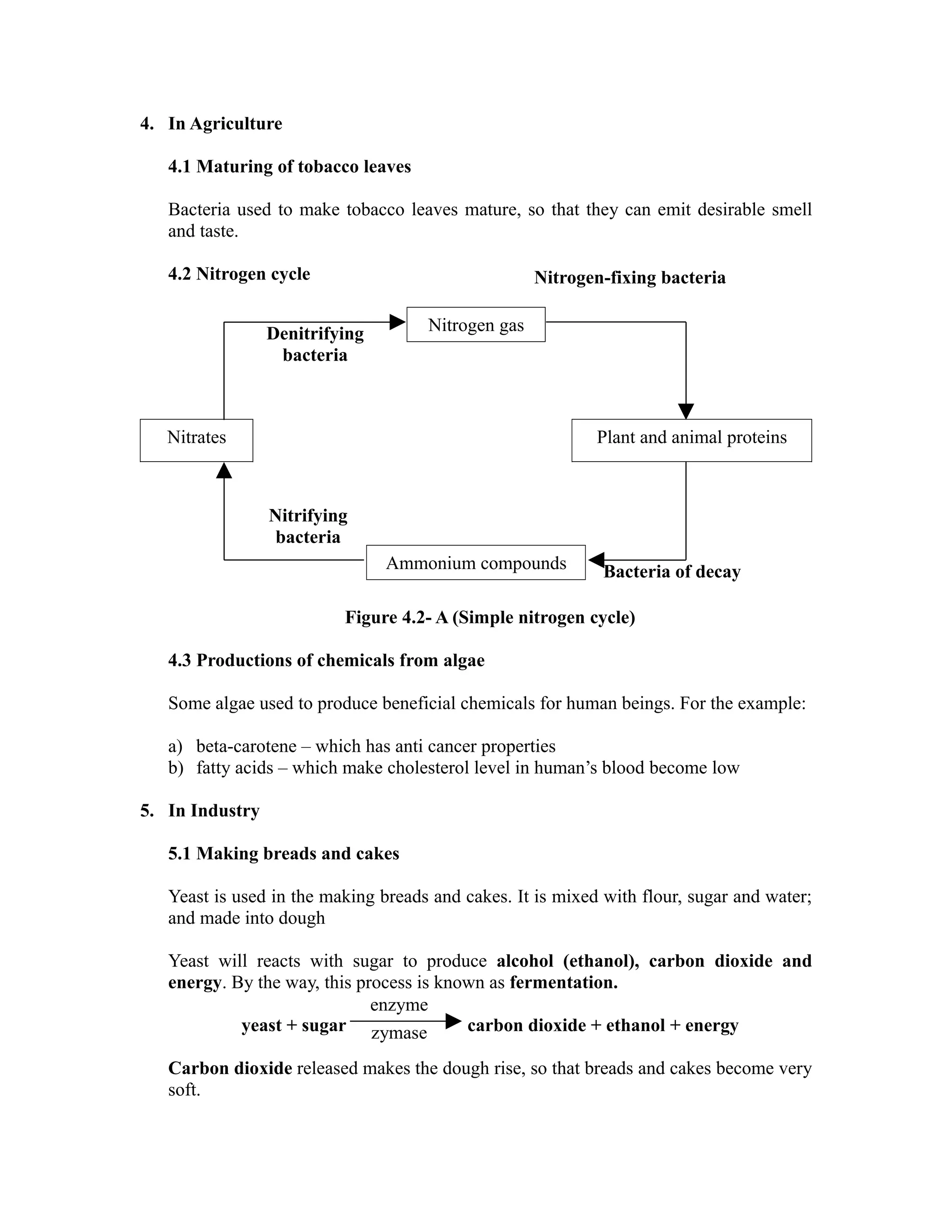 form-5-science-chapter-1 | PDF