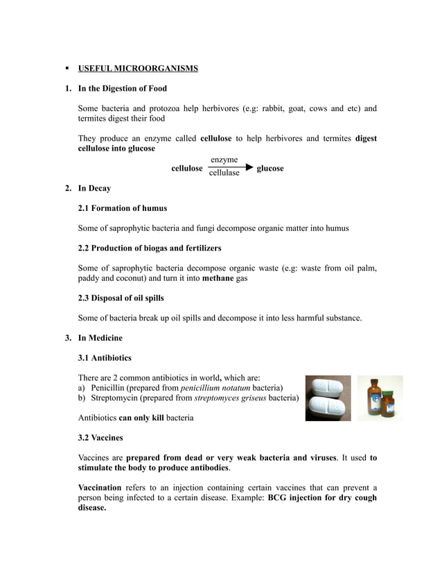 form-5-science-chapter-1 | PDF | Science