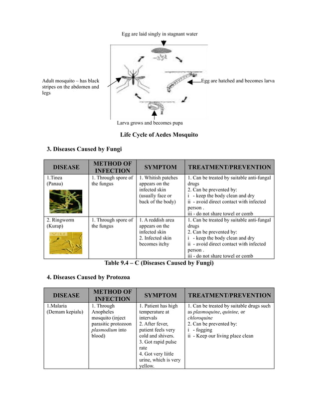 form-5-science-chapter-1 | PDF | Science