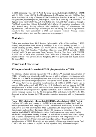 TNF-alpha and LPA promote synergistic expression of COX-2 in human ...