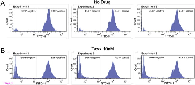 A new assay for measuring chromosome instability (CIN) and ...