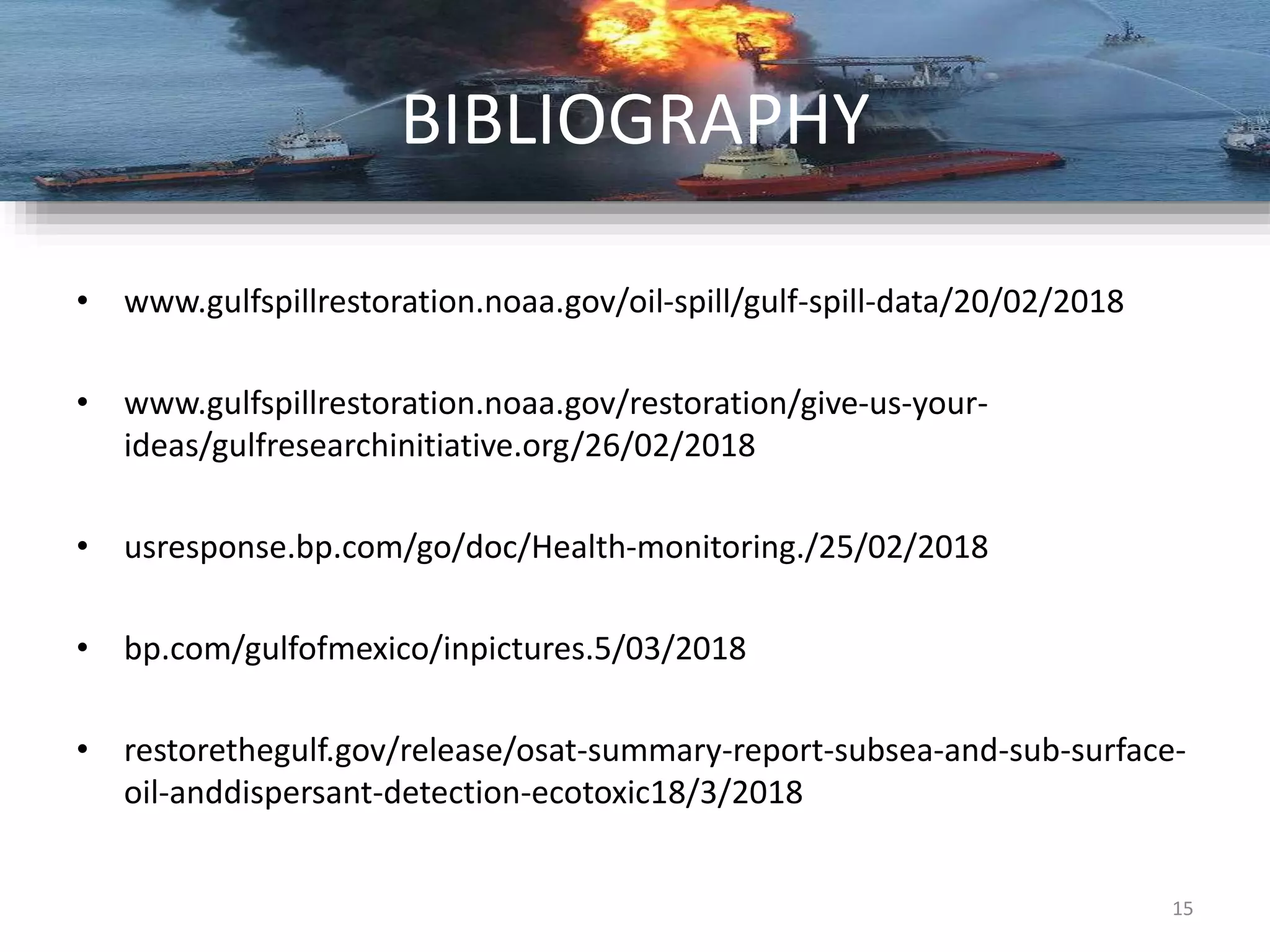 case study on BP's oill spill | PPTX | Disasters