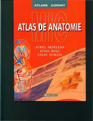 147776902 atlas-anatomie-color | PDF