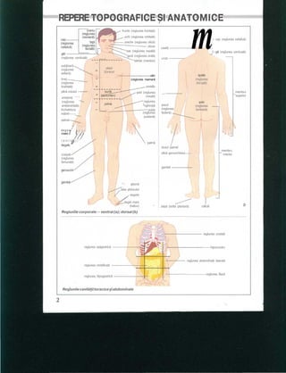 147776902 atlas-anatomie-color | PDF