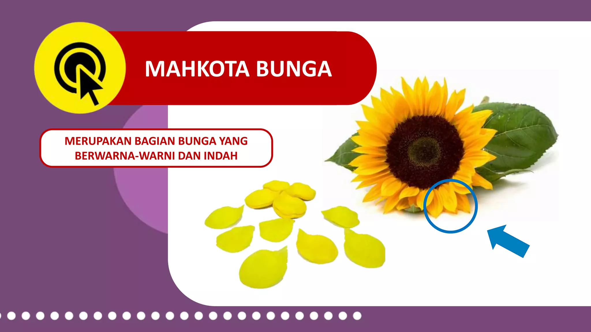 Ciri ciri bunga sempurna dan tidak sempurna | PPSX