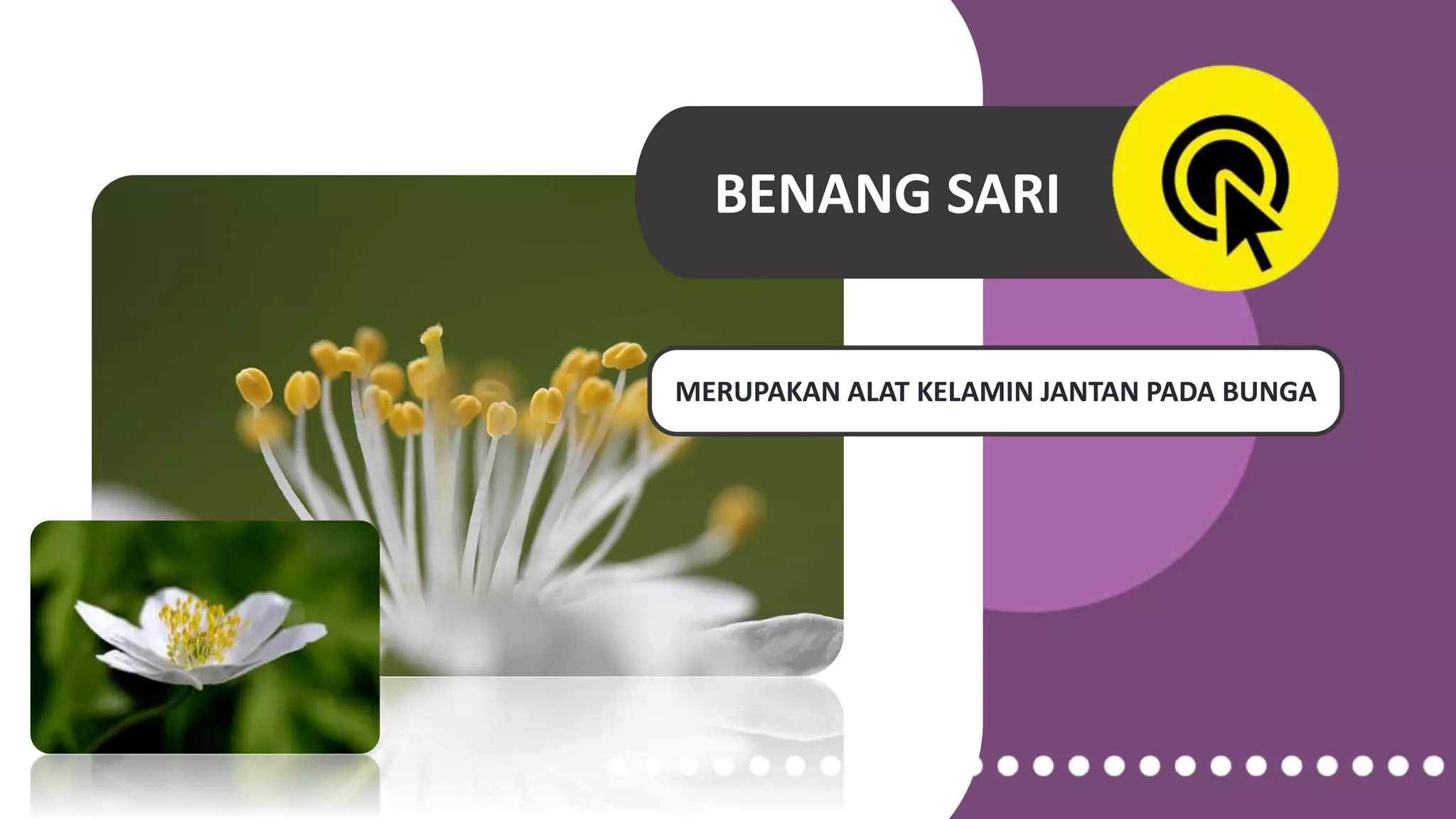 Ciri ciri bunga sempurna dan tidak sempurna | PPSX