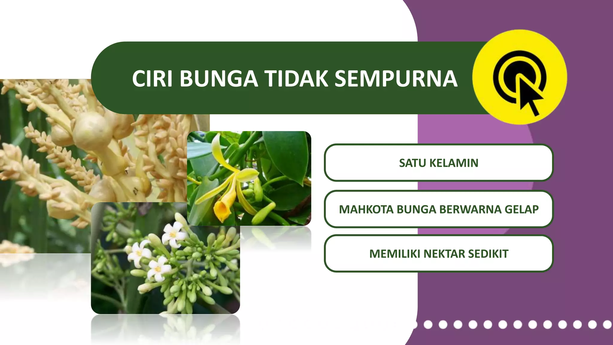 Ciri ciri bunga sempurna dan tidak sempurna | PPSX