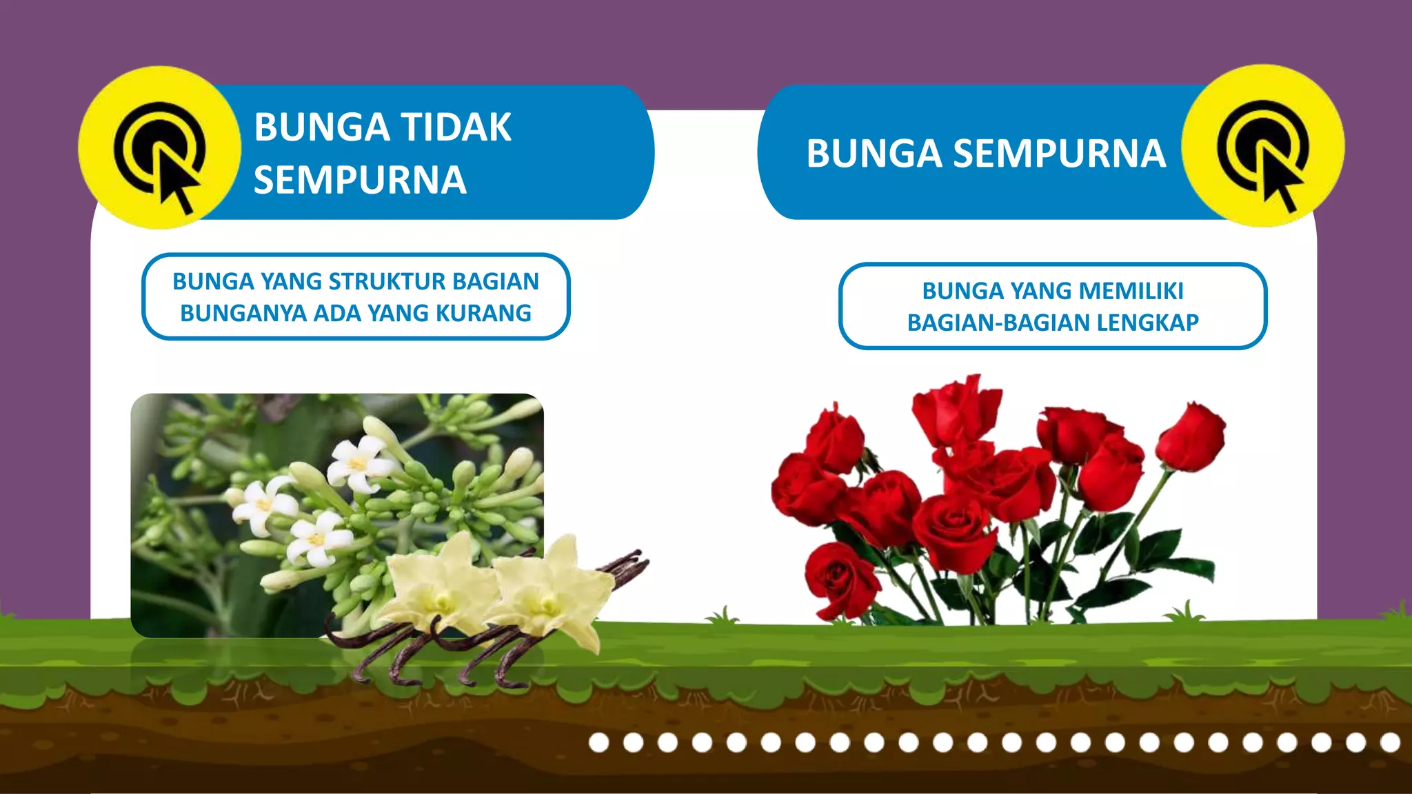 Ciri ciri bunga sempurna dan tidak sempurna | PPSX