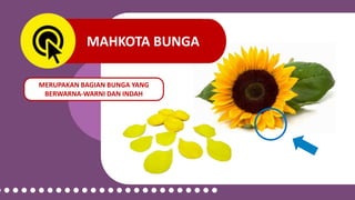 Ciri ciri bunga sempurna dan tidak sempurna | PPSX
