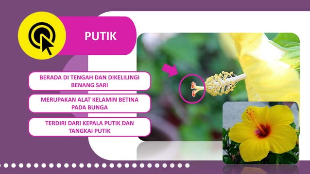 Ciri ciri bunga sempurna dan tidak sempurna | PPSX