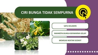 Ciri ciri bunga sempurna dan tidak sempurna | PPSX
