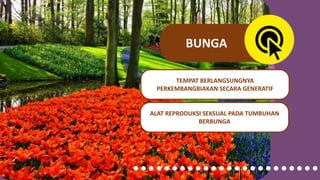 Ciri ciri bunga sempurna dan tidak sempurna | PPSX