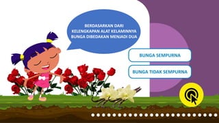 Ciri ciri bunga sempurna dan tidak sempurna | PPSX