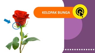 Ciri ciri bunga sempurna dan tidak sempurna | PPSX