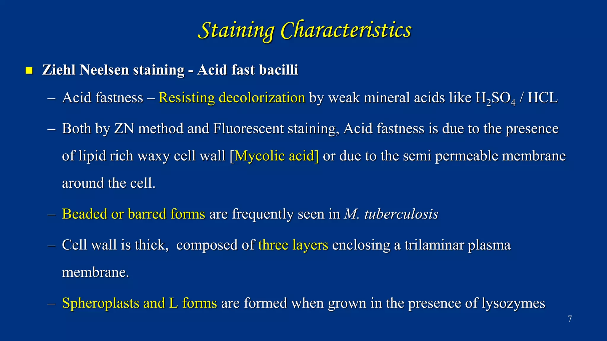 Mycobacterium Tuberculosis.pptx