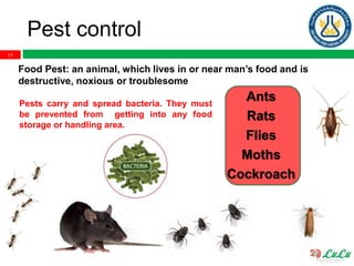 Food Hygiene Awareness | PPT