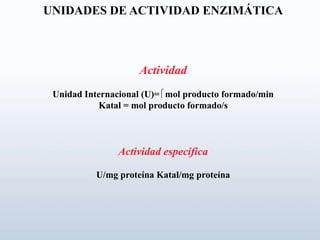 actividad enzimática | PPT