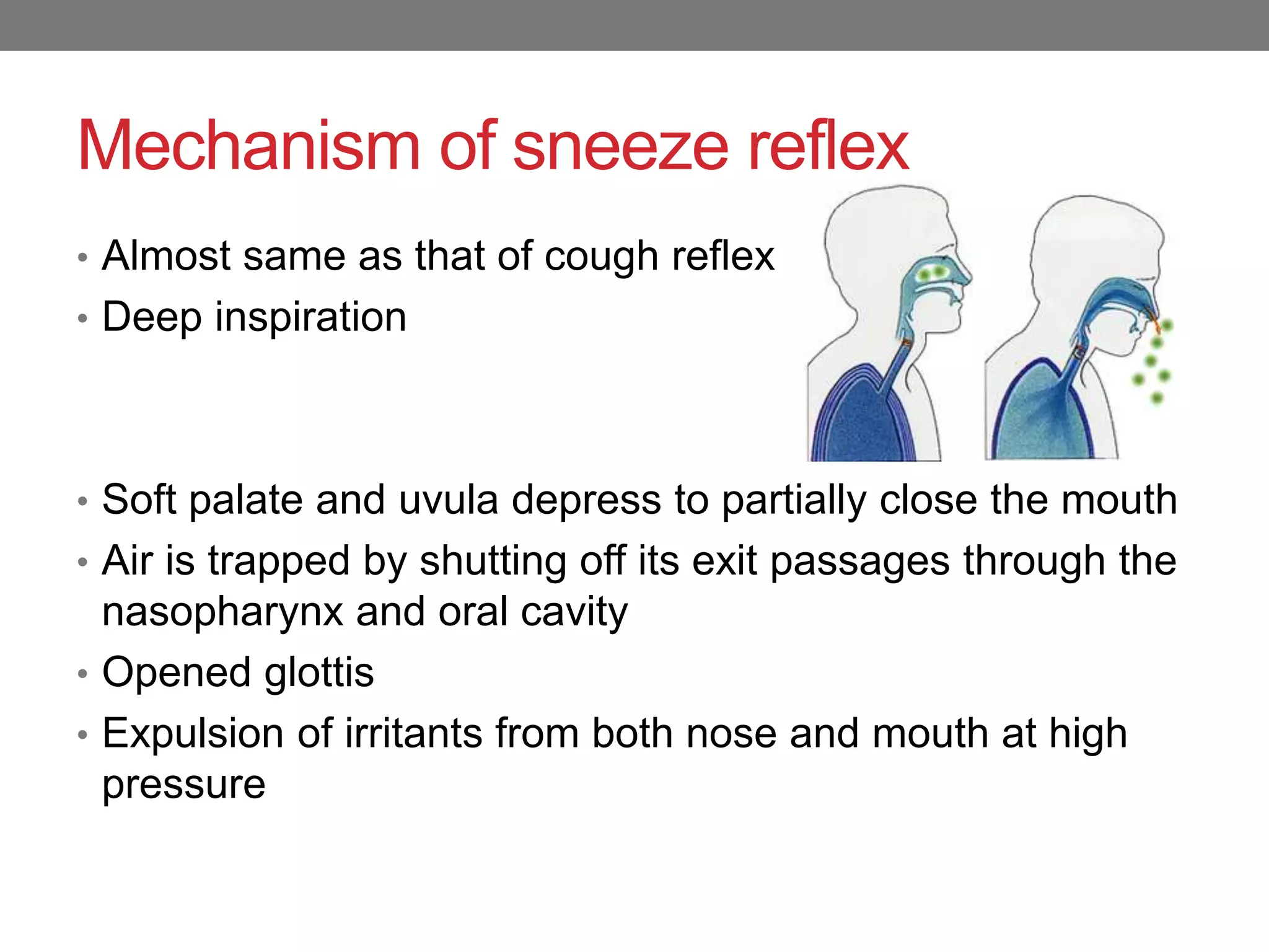 Mechanism of cough and sneeze reflex | PPTX