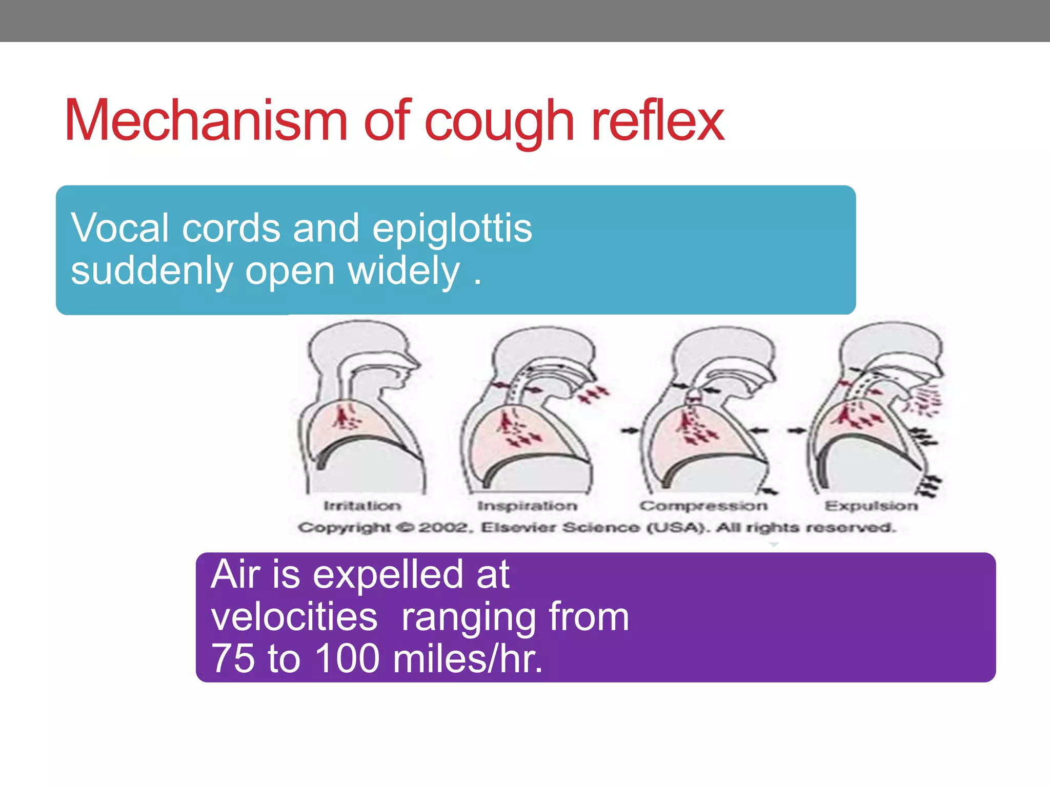 Mechanism of cough and sneeze reflex | PPTX